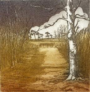 Chippenham Fen - Etching by Joan Hodgkiss
